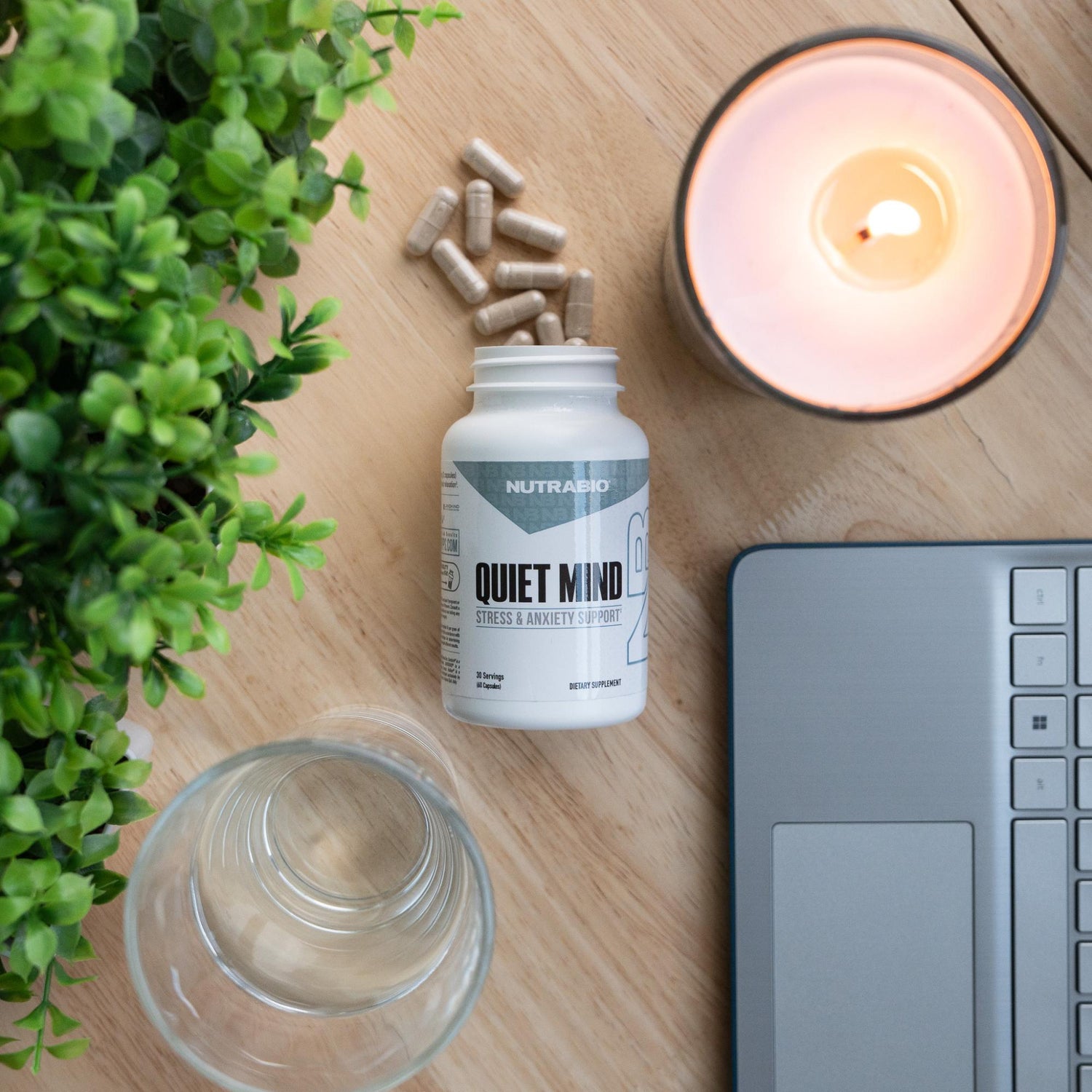 Theobromine: Uses, Benefits, Side Effects, and Dosage – NutraBio Brands