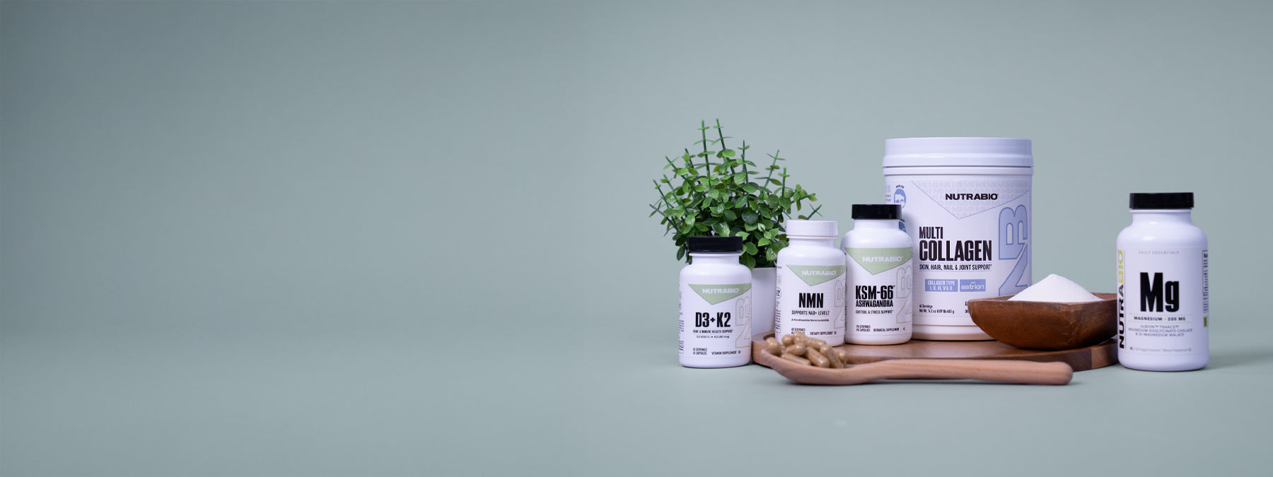 Performance & Wellness Supplements – NutraBio Brands